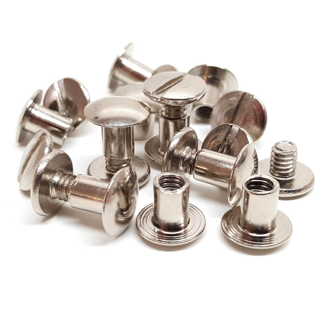 10 Pack 1/4" Silver Nickel Chicago Screws - Hill Leather Company