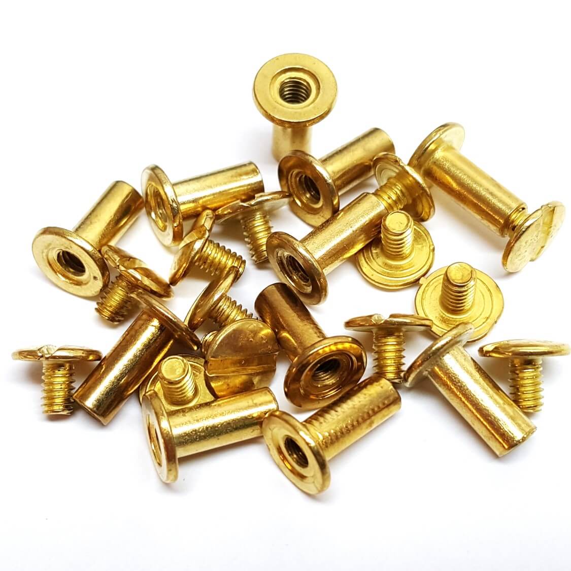 10 Pack 1/2" Silver Nickel Chicago Screws - Hill Leather Company